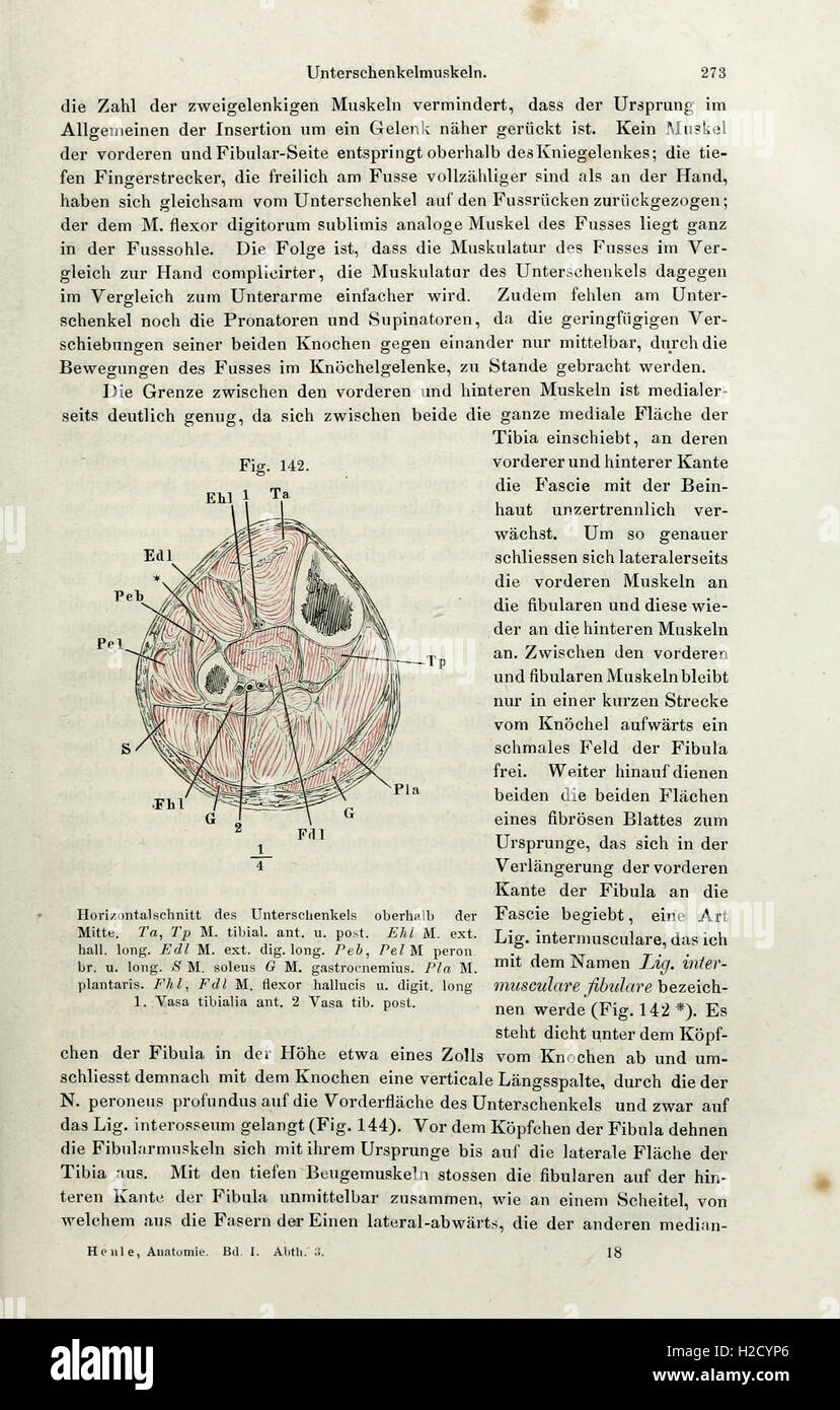 This manual provides a systematic overview of human anatomy, detailing ...