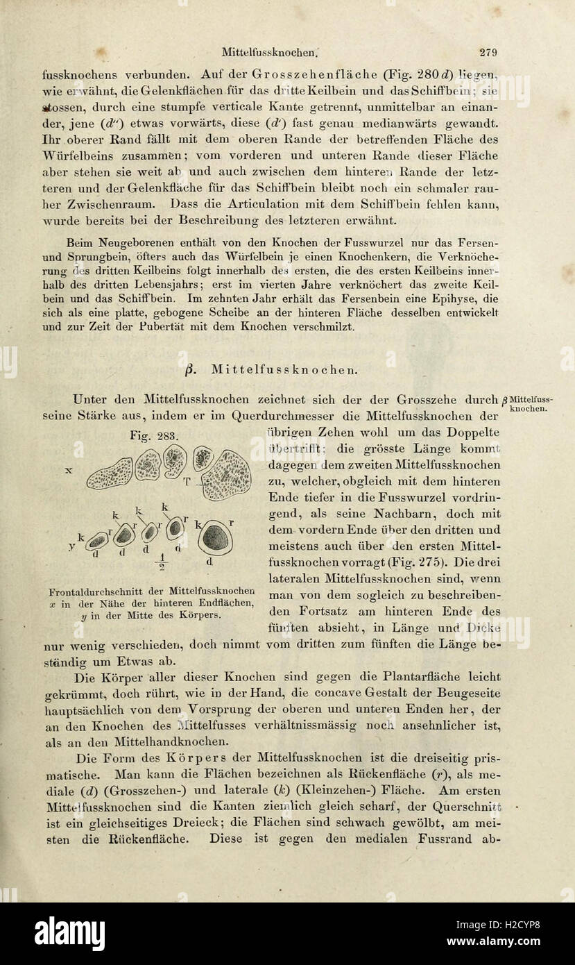 A reference work on the systematic anatomy of the human body. Page 279 ...