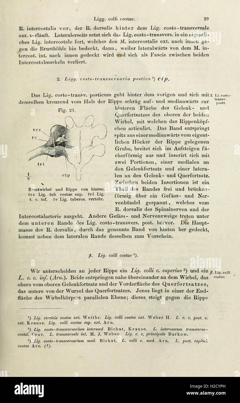 This handbook offers a detailed description of human systematic anatomy ...