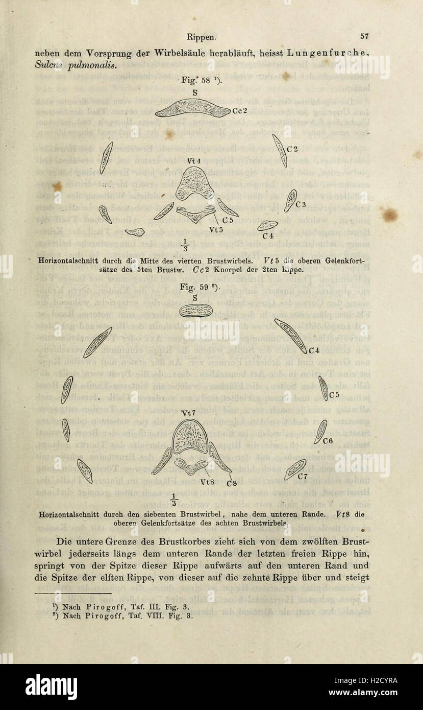 A detailed manual on the systematic anatomy of humans, presenting ...