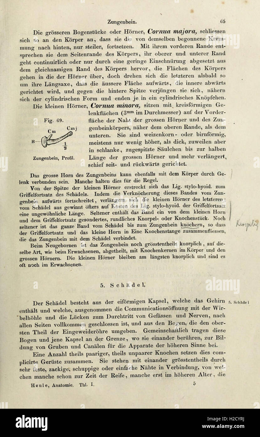 This anatomical guide offers detailed descriptions of human anatomy ...