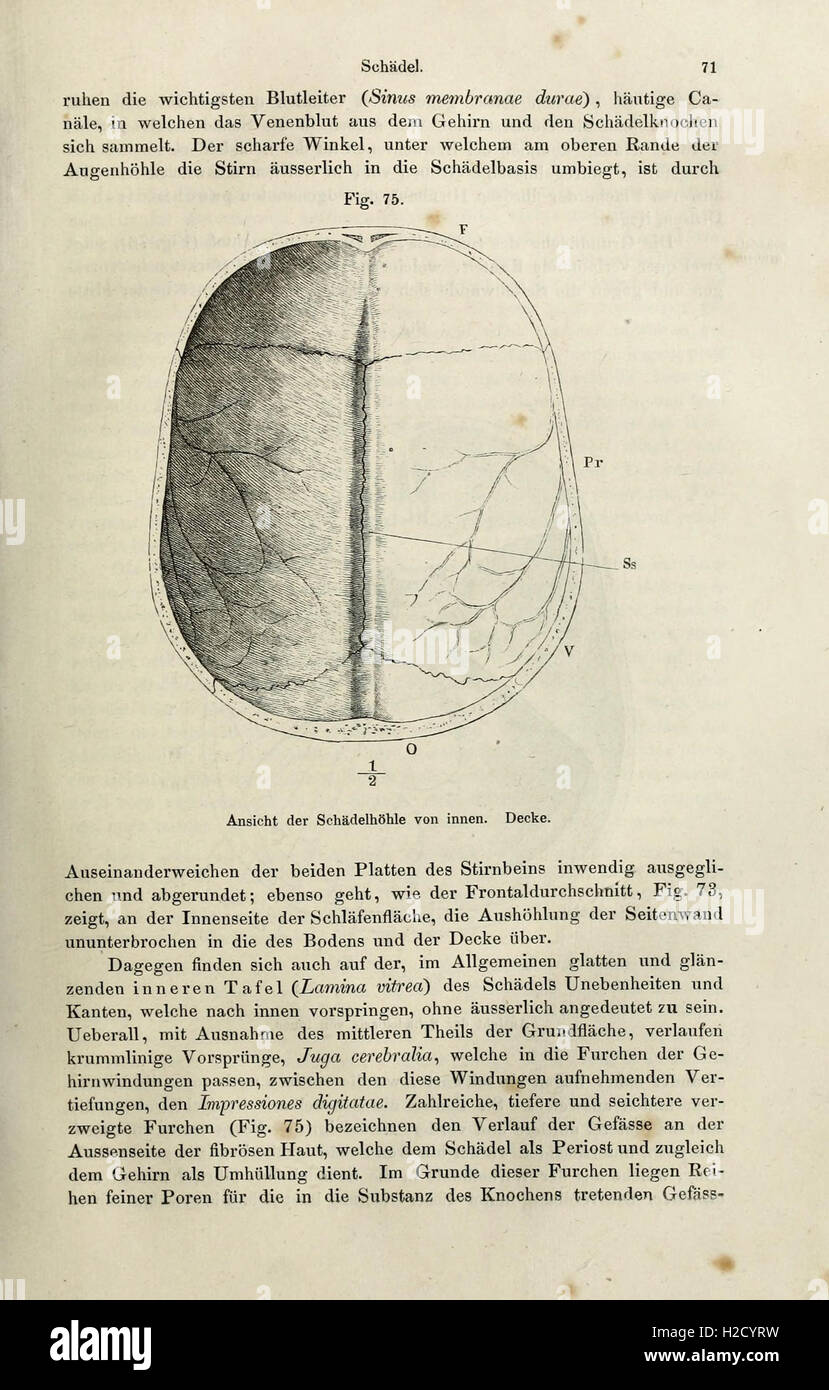 This handbook provides a detailed study of human anatomy, focusing on ...