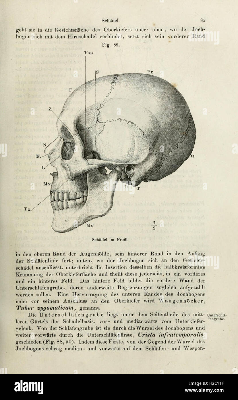 A detailed guide on the systematic anatomy of the human body, covering ...