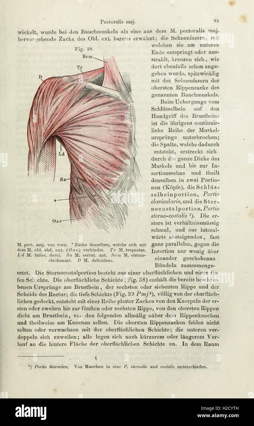 A detailed guide to the systematic anatomy of humans, focusing on ...