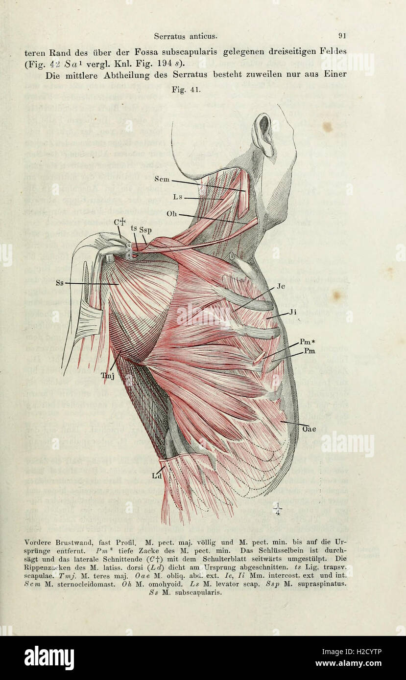 This manual provides a systematic approach to human anatomy, offering ...