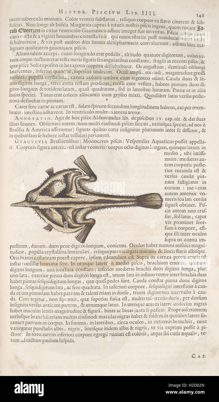 Historia naturalis Brasiliae (Page 143 Stock Photo - Alamy