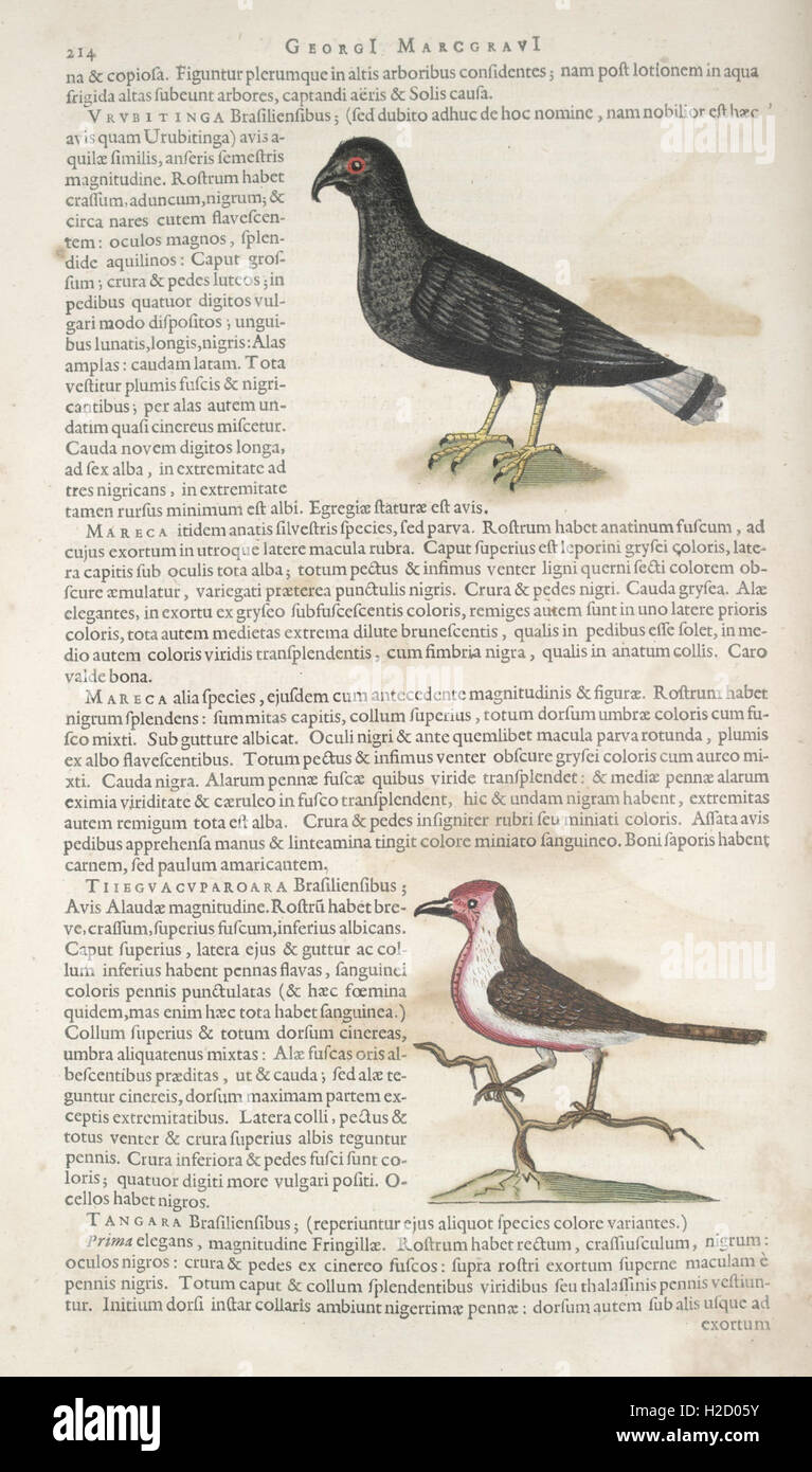 'Historia naturalis Brasiliae' is a detailed account of the natural ...