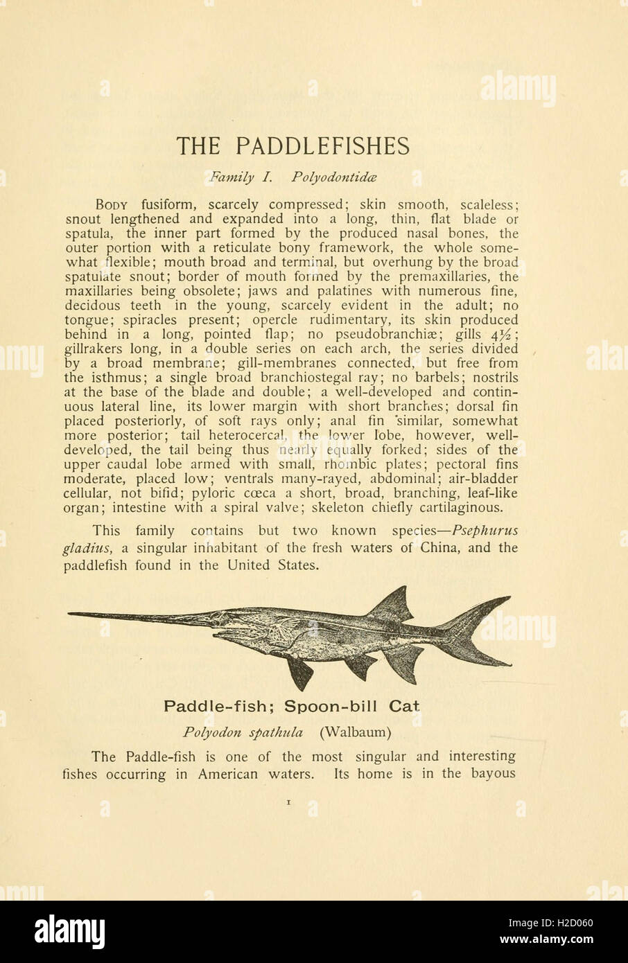 This book provides a comprehensive guide to food and game fish species ...