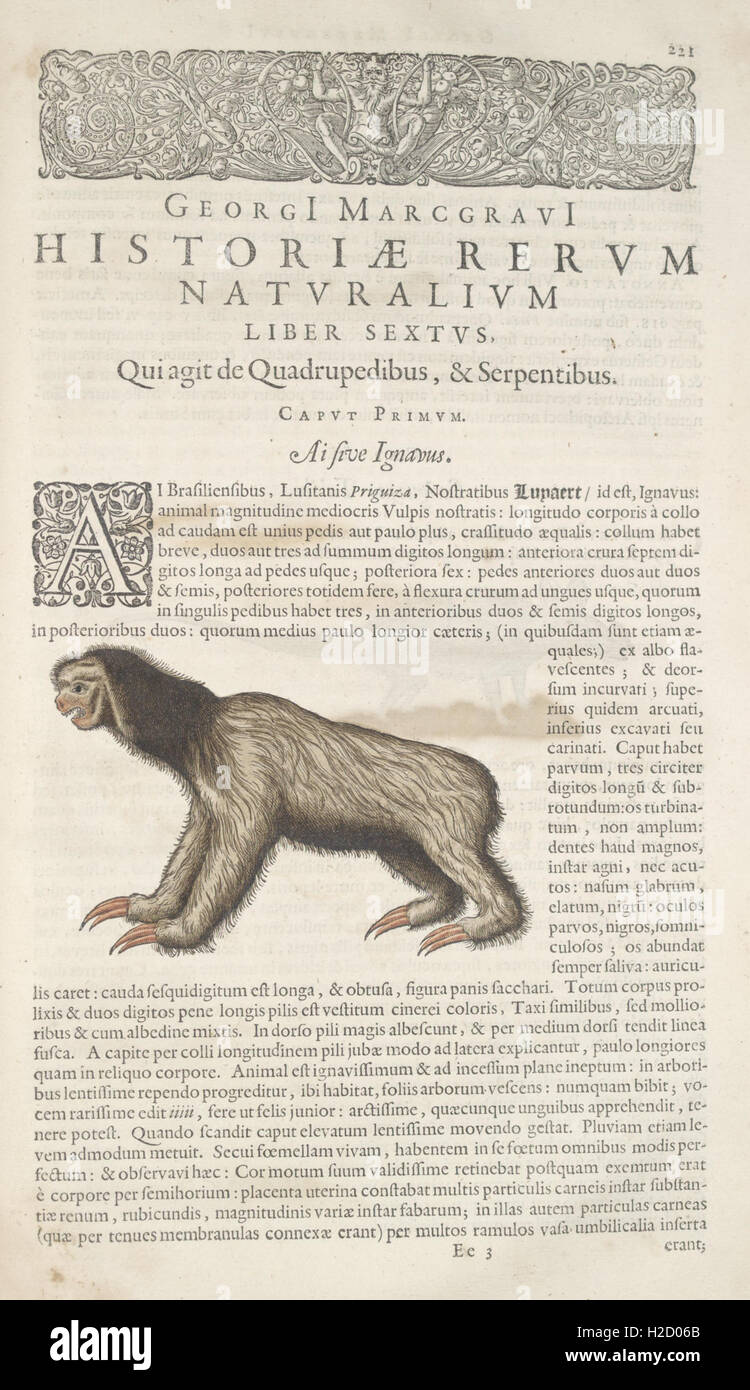 This work details the natural history of Brazil, focusing on its ...