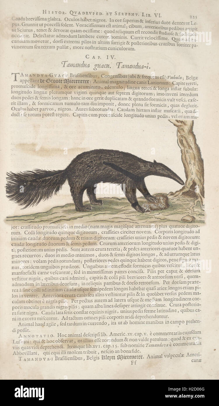 A comprehensive natural history of Brazil, with detailed descriptions ...