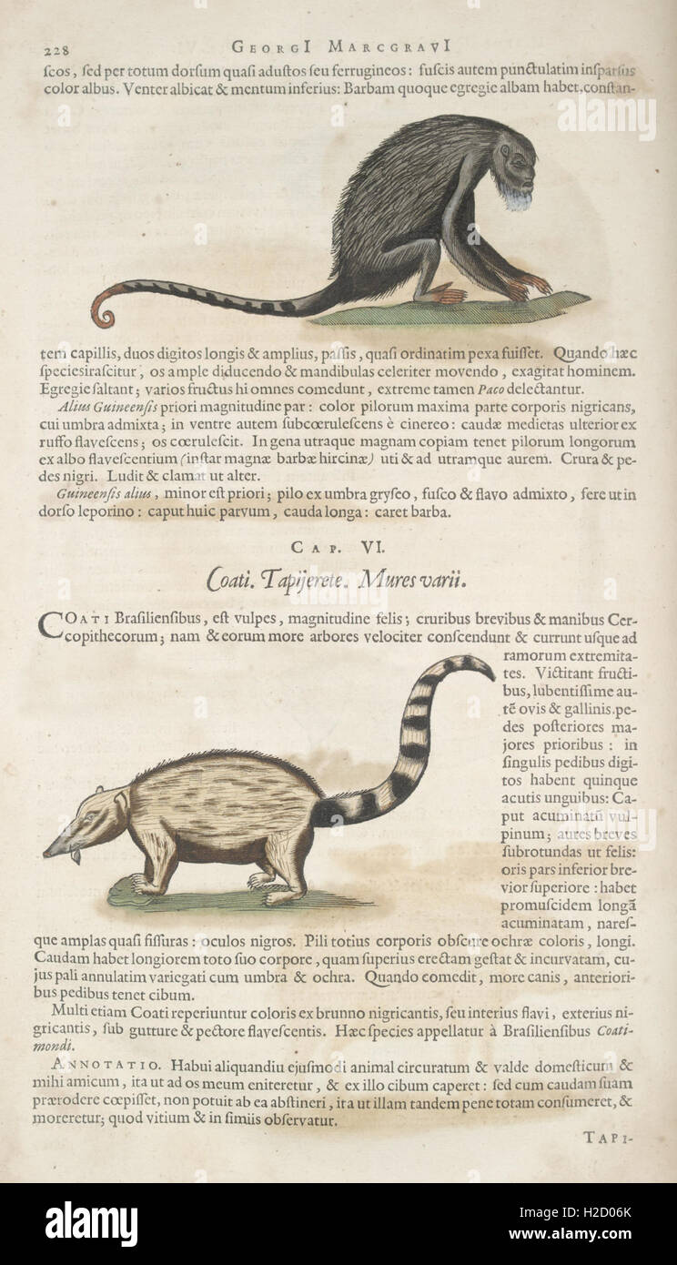 A key scientific work detailing the natural history of Brazil ...