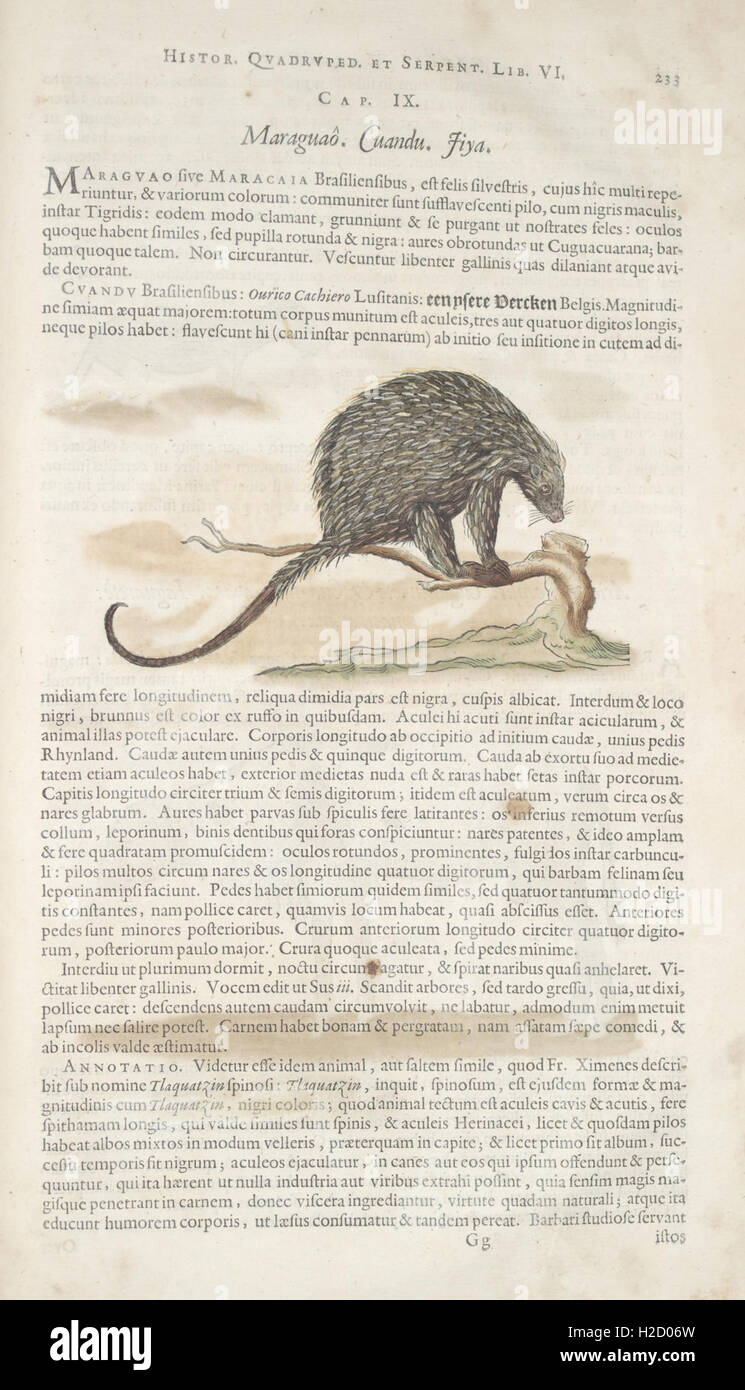 This natural history work focuses on the flora and fauna of Brazil ...