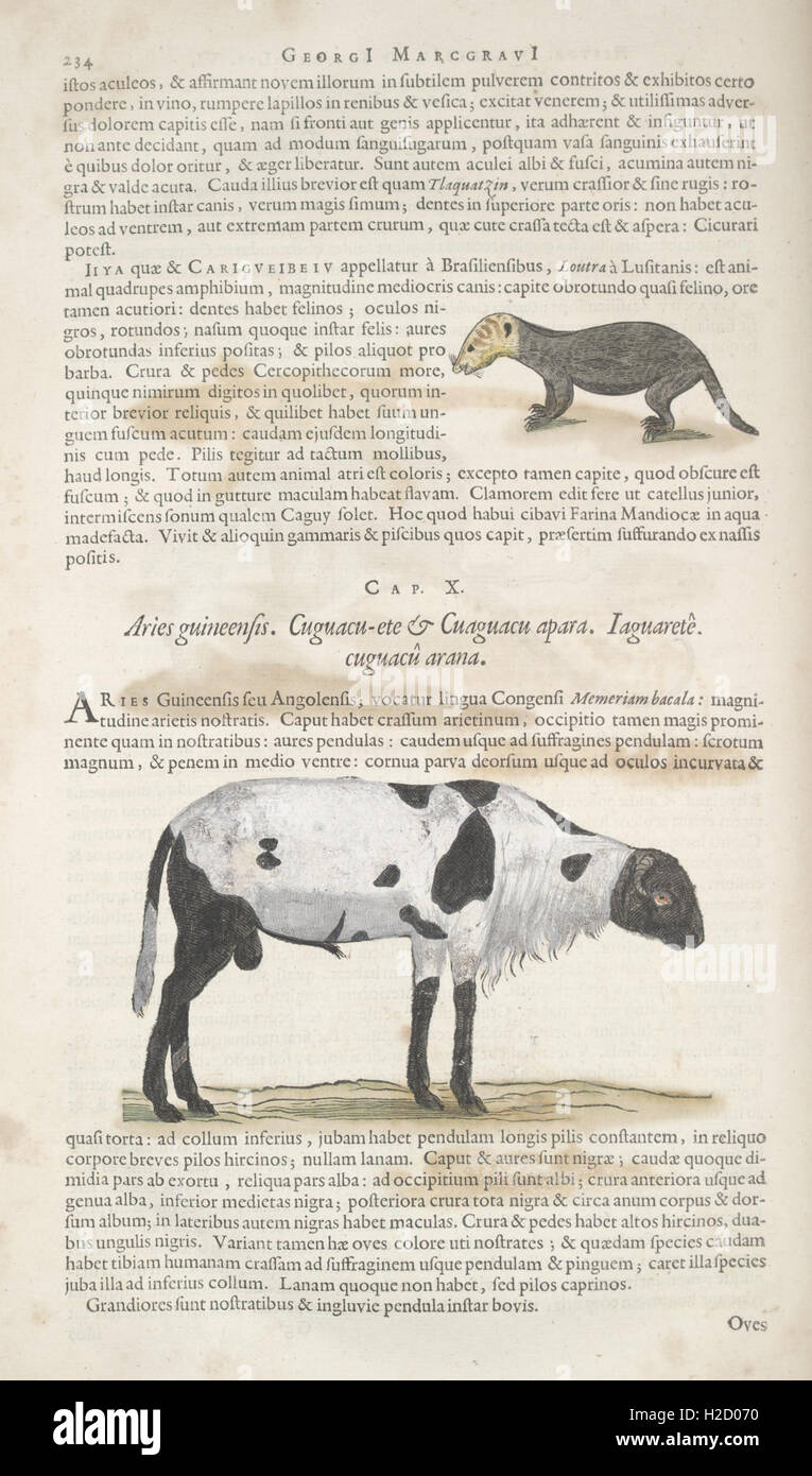 A natural history work documenting the flora, fauna, and ecosystems of ...