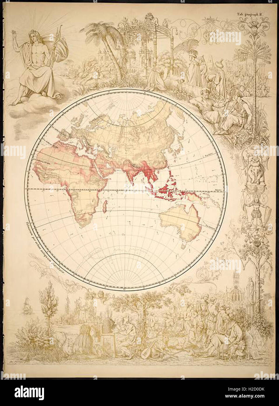 This work provides a comprehensive study of palm species, their ...