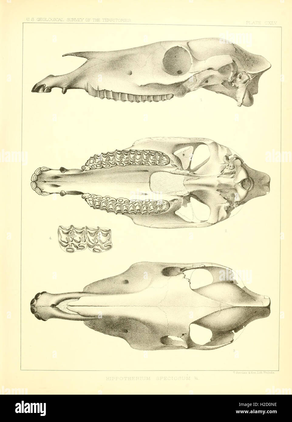 An illustration collection featuring previously unpublished images of ...