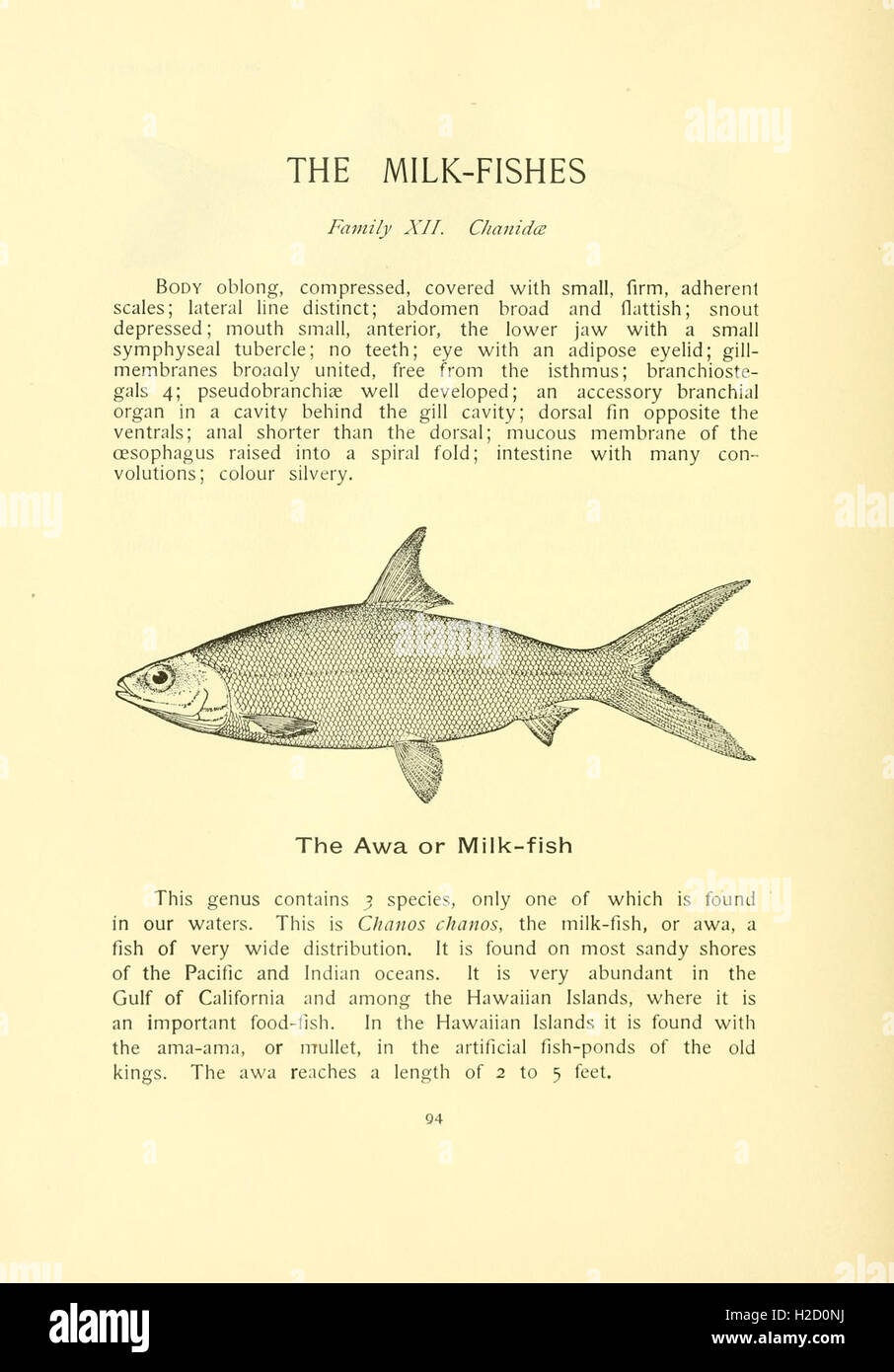 This work provides comprehensive information on food and game fish ...
