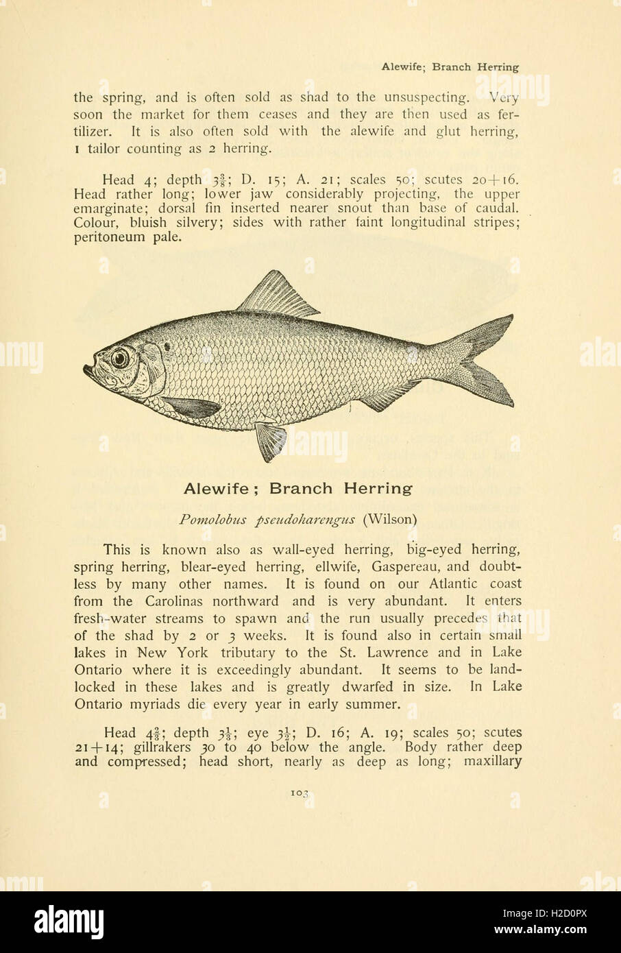 This work provides detailed information on various species of food and ...