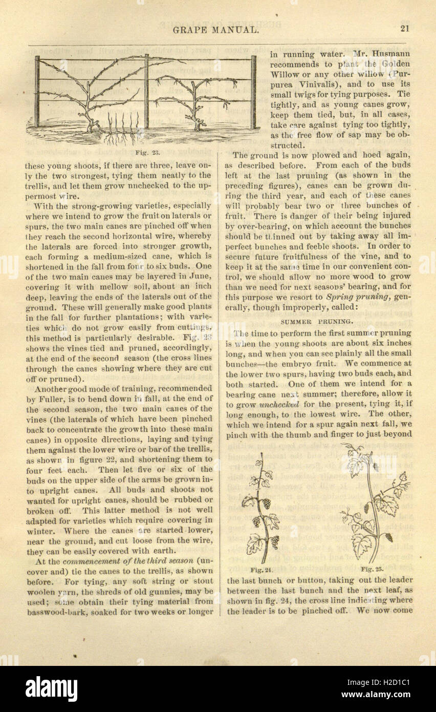 This illustrated catalog provides detailed descriptions of various ...