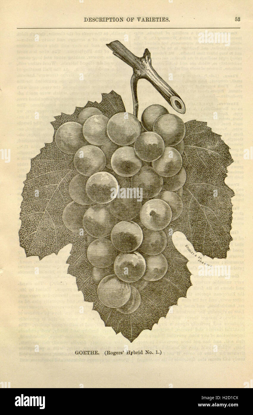 This catalogue provides a detailed, illustrated guide to the various ...