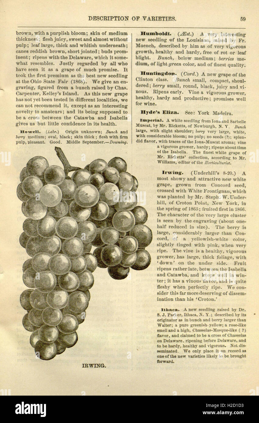 This illustrated catalogue offers detailed descriptions of various ...