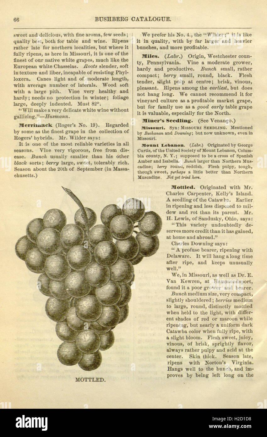 This catalogue provides a comprehensive description and illustration of ...