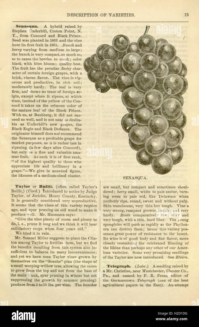 This illustrated catalog provides descriptions of various American ...