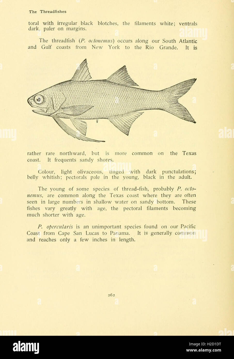 This guide provides detailed information on American food and game fish ...