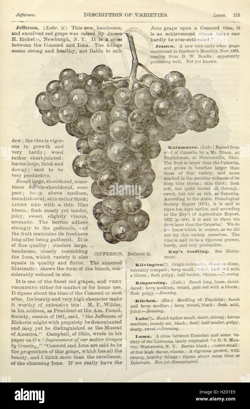 This illustrated catalog provides detailed descriptions of American ...