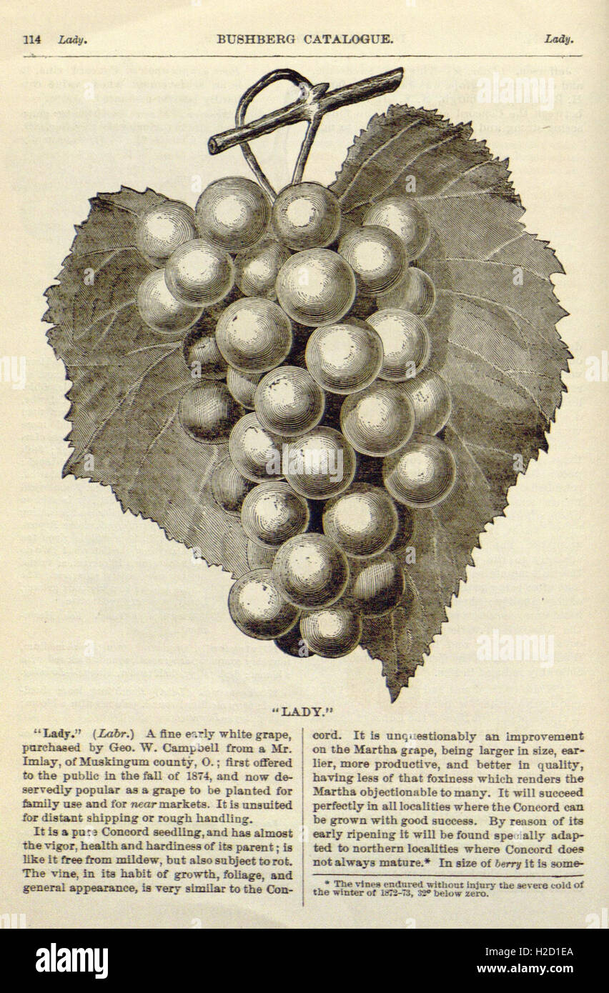 This catalogue provides a detailed description and illustration of ...