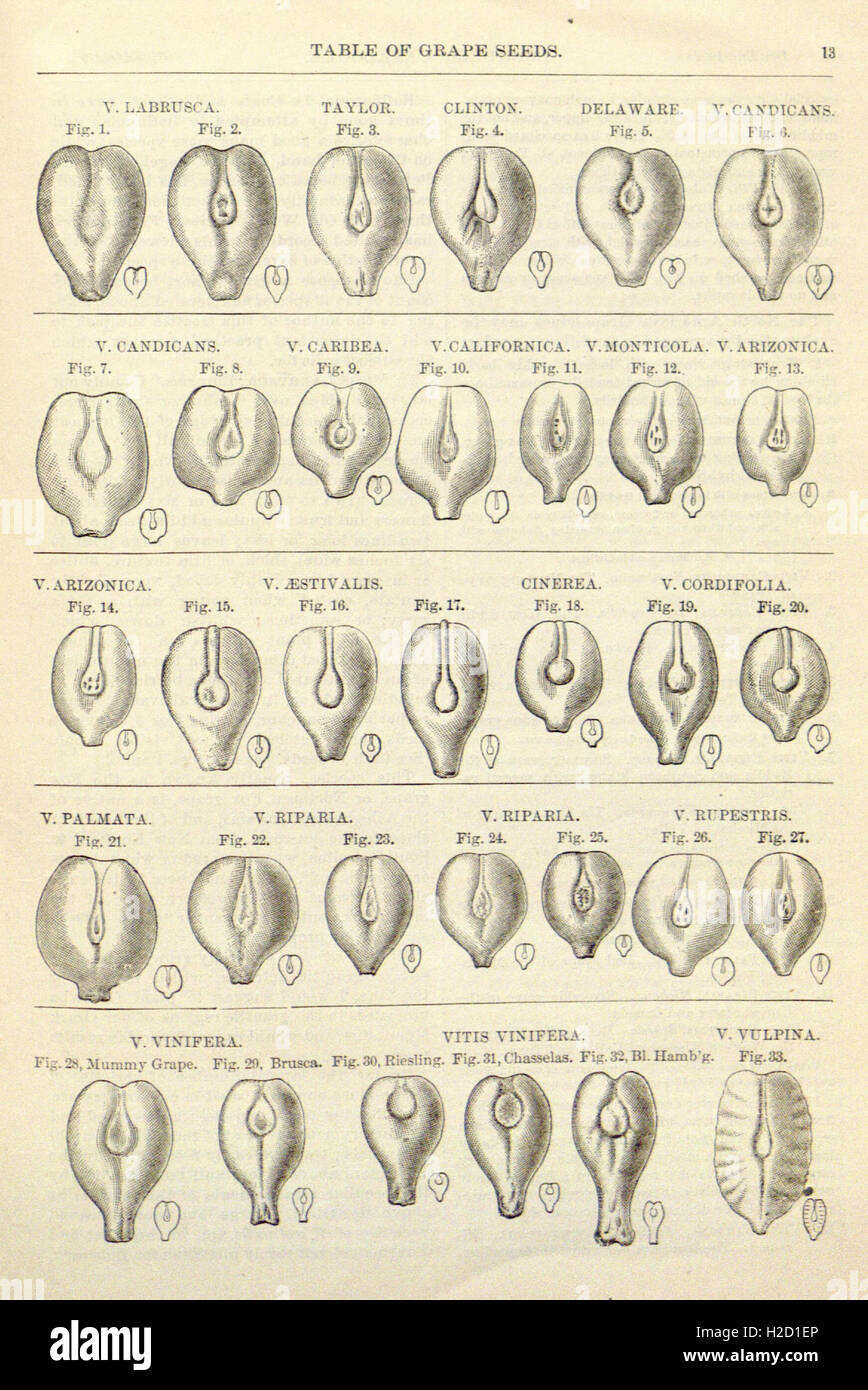 This catalogue offers detailed descriptions and illustrations of ...