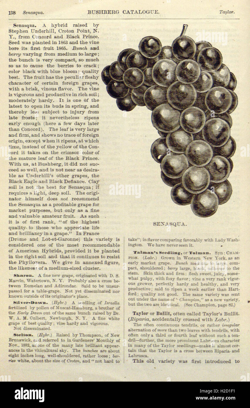 This illustrated catalog provides detailed descriptions and ...