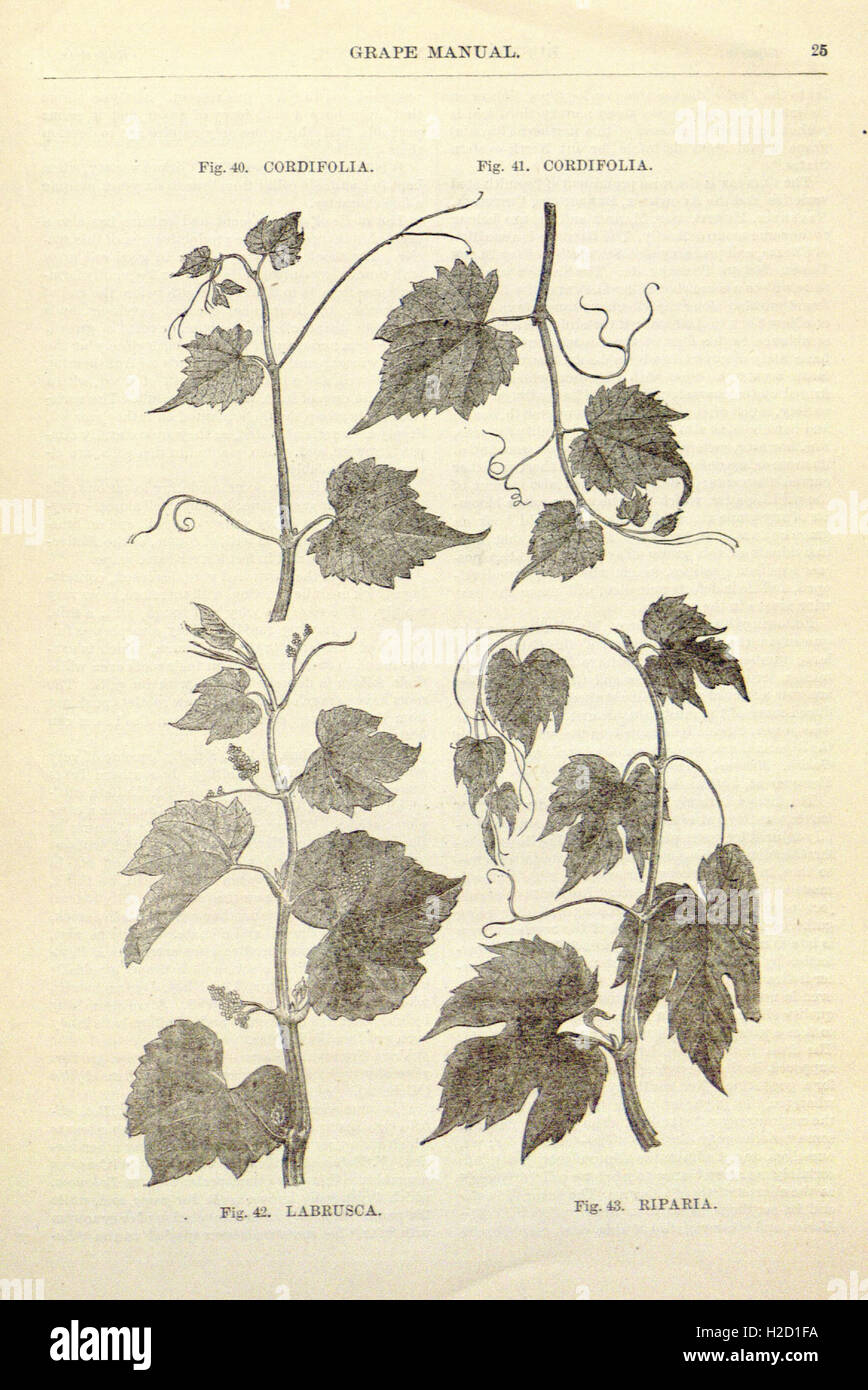 This illustrated catalog provides detailed descriptions and ...