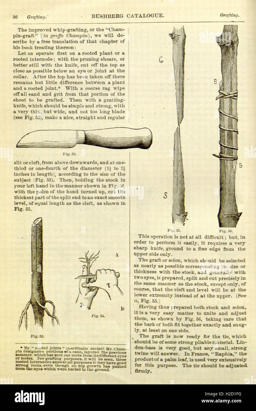 This catalogue provides detailed descriptions and illustrations of ...