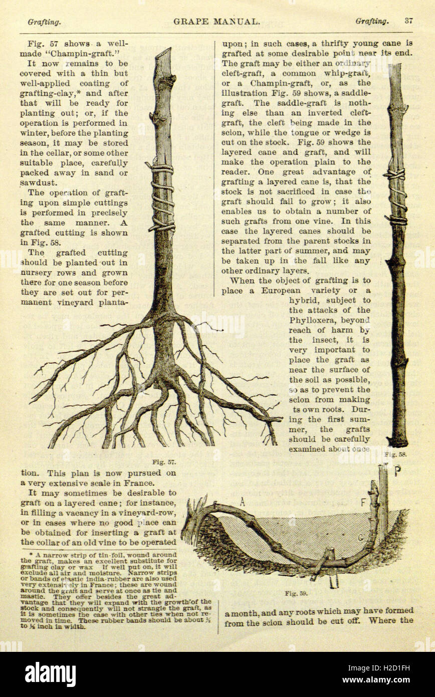 This catalogue provides detailed descriptions and illustrations of ...