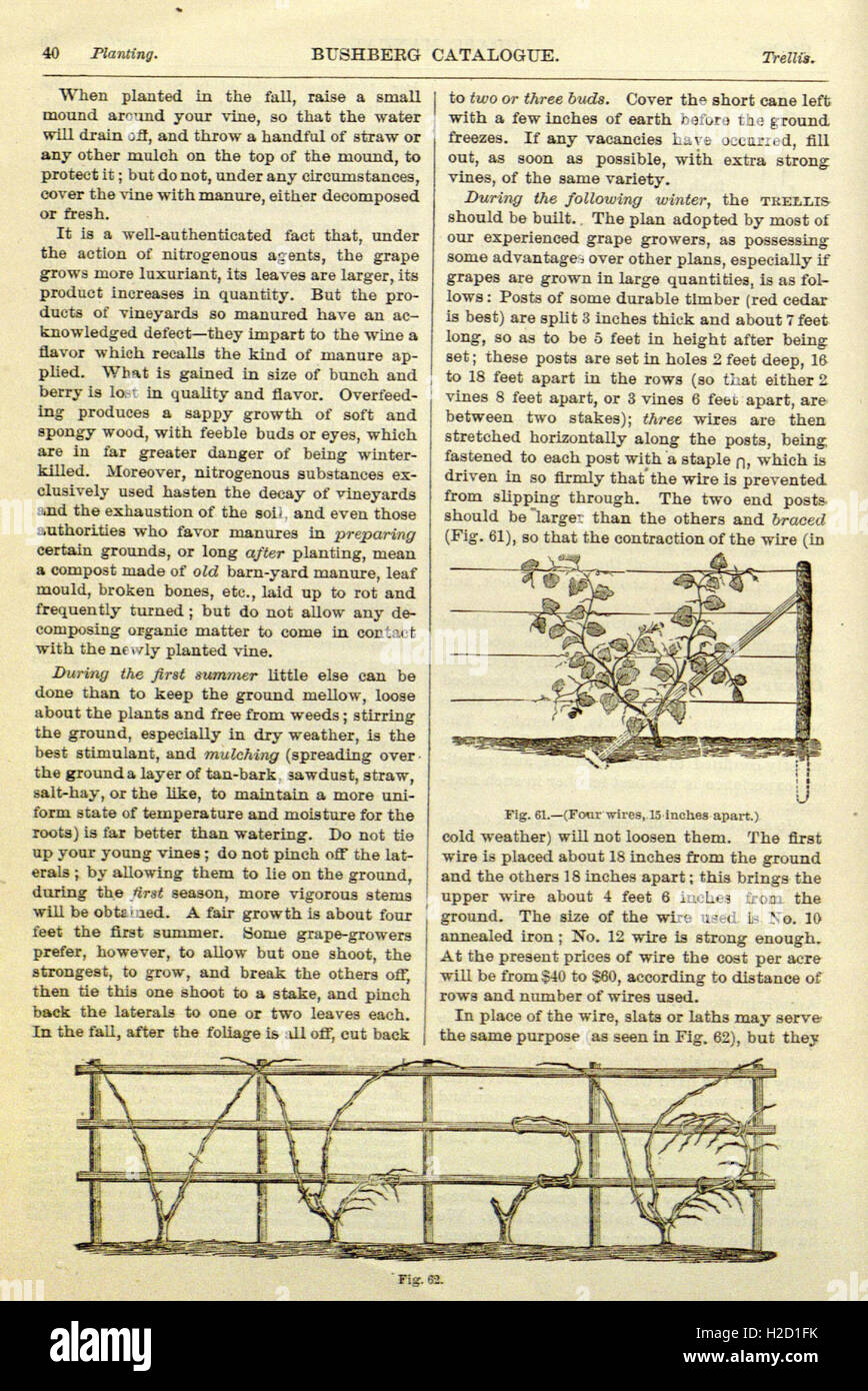 A detailed catalogue featuring illustrations and descriptions of ...