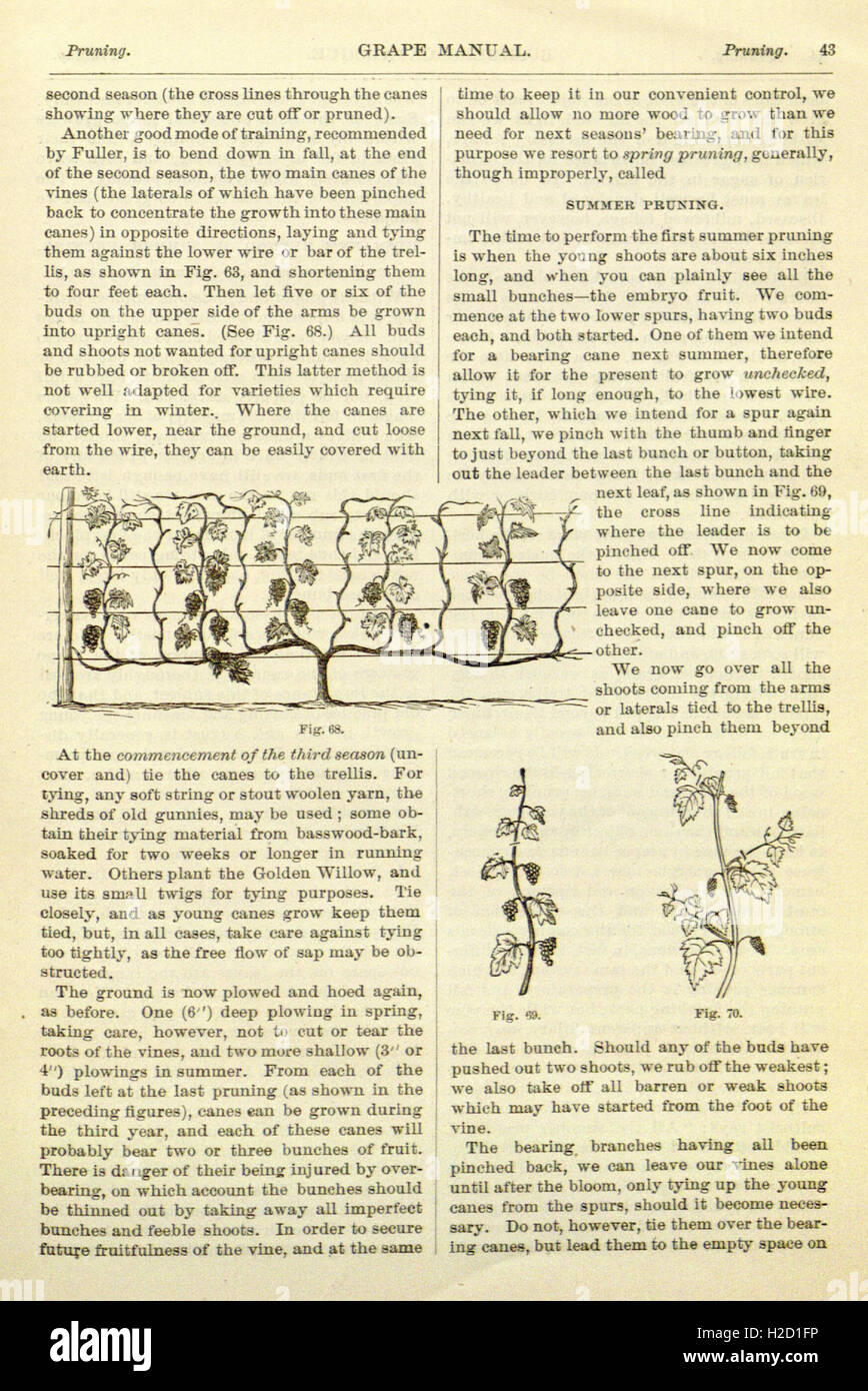 This catalogue provides a detailed description and illustration of ...