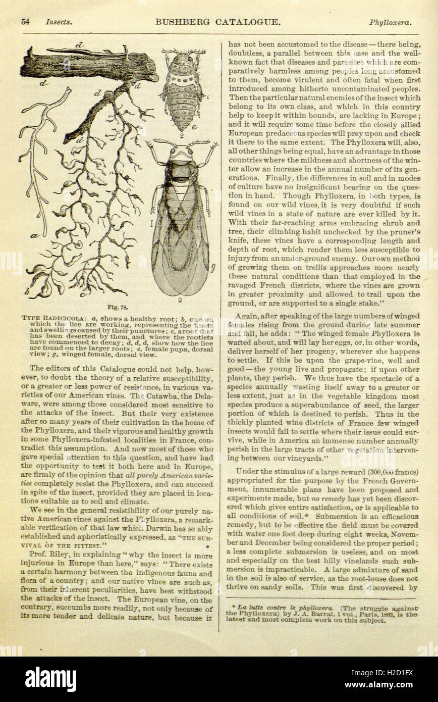 This catalogue offers detailed descriptions and illustrations of ...