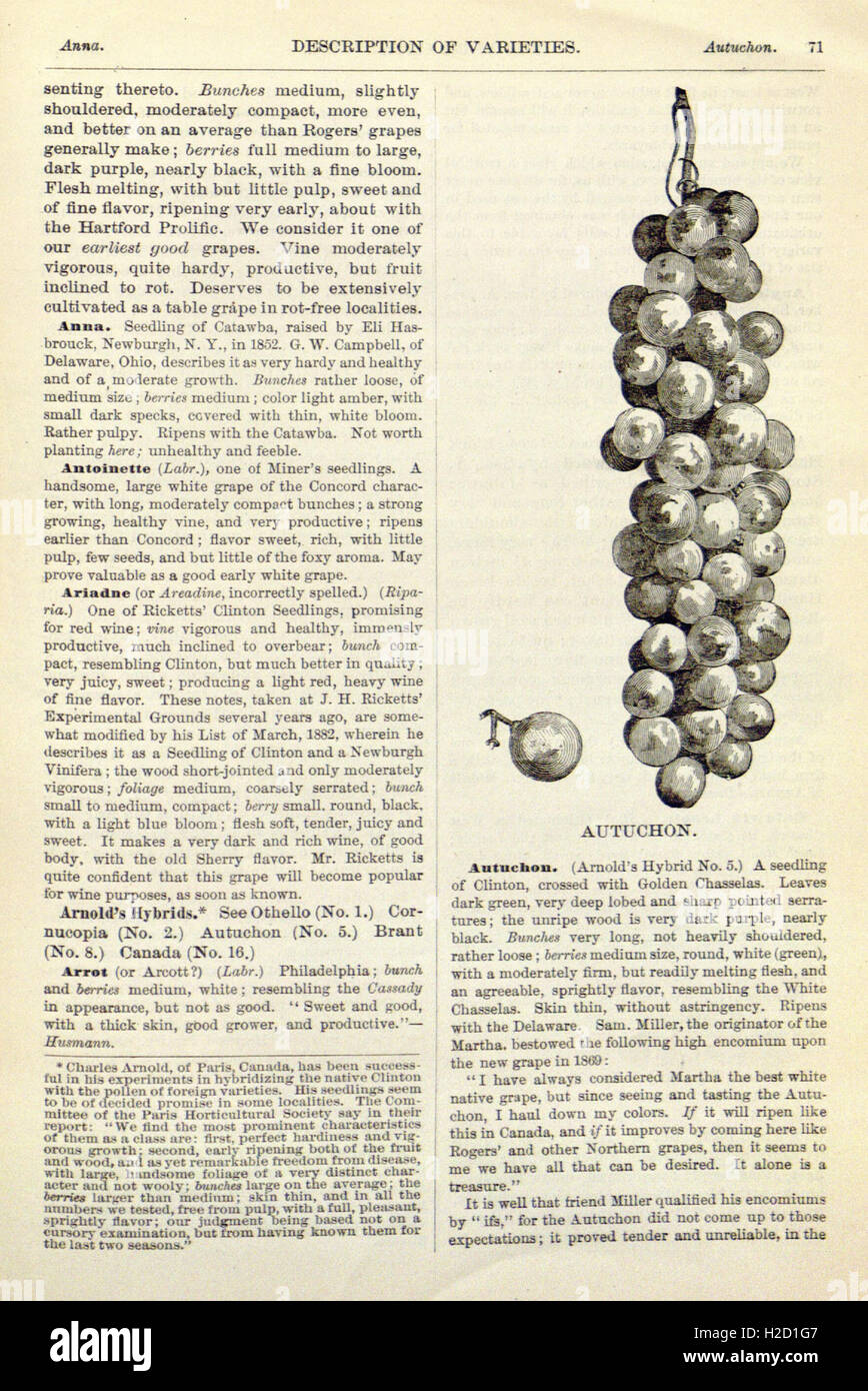 An illustrated catalogue detailing the characteristics of American ...