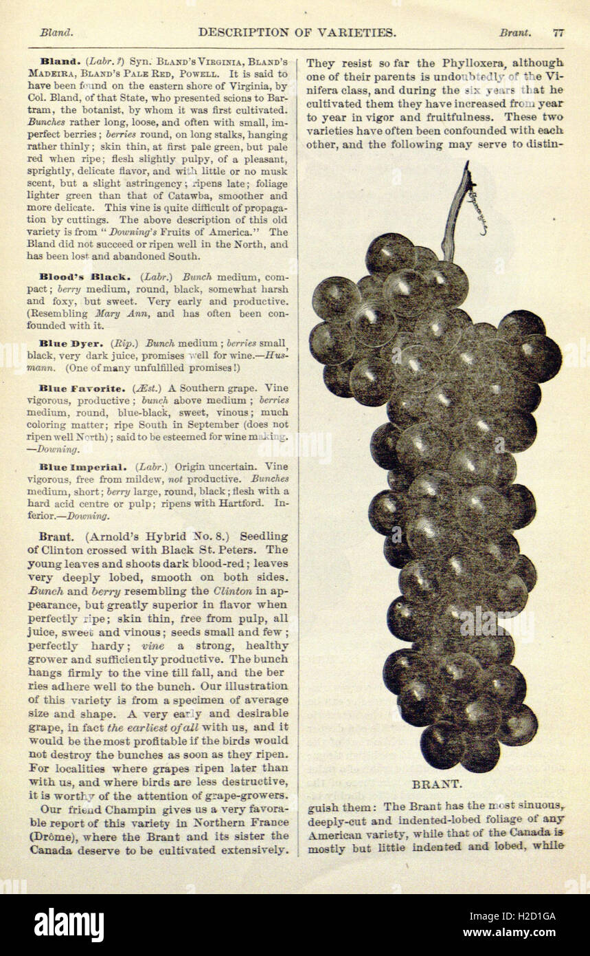 This catalog features detailed descriptions and illustrations of ...