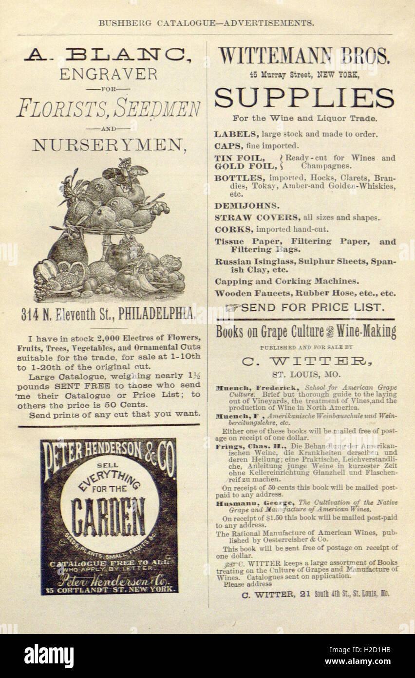 This catalog offers a comprehensive description of American grapevine ...