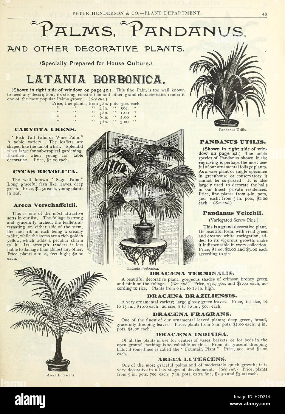 This document from 1892 includes a historical overview of the year’s ...
