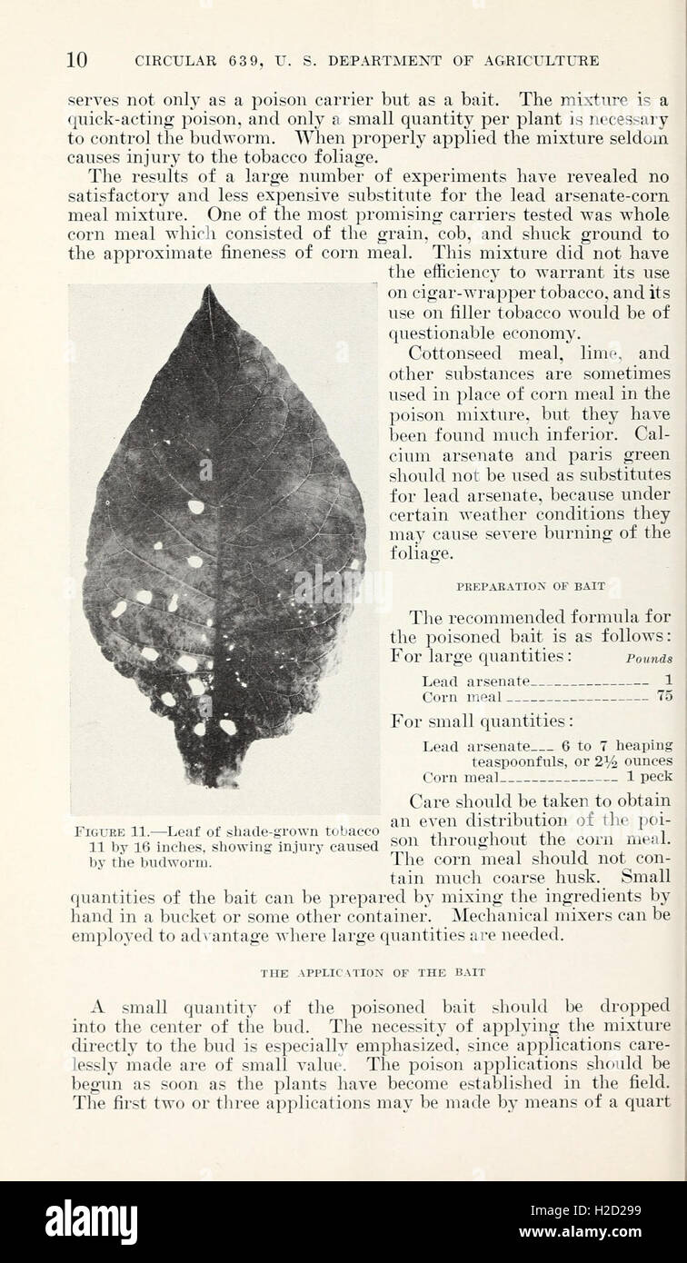 A study on insect pests affecting cigar-type tobacco crops in southern ...