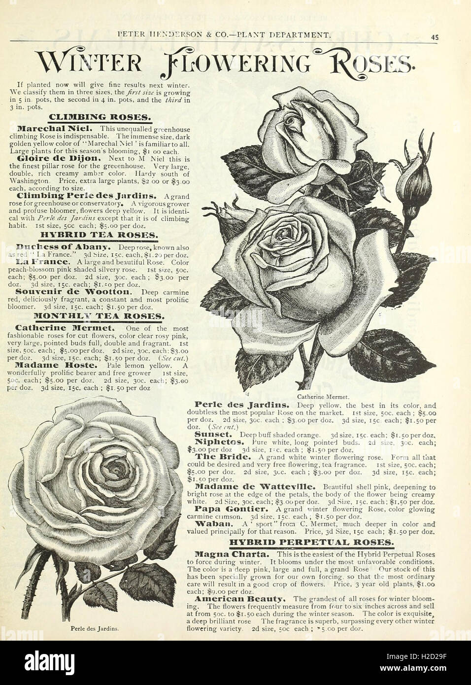 A historical document from the year 1892, providing details of events ...