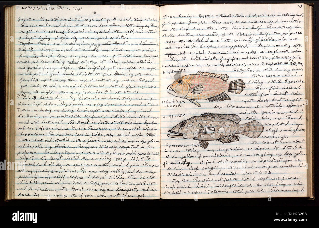 Pages 116 hi-res stock photography and images - Alamy