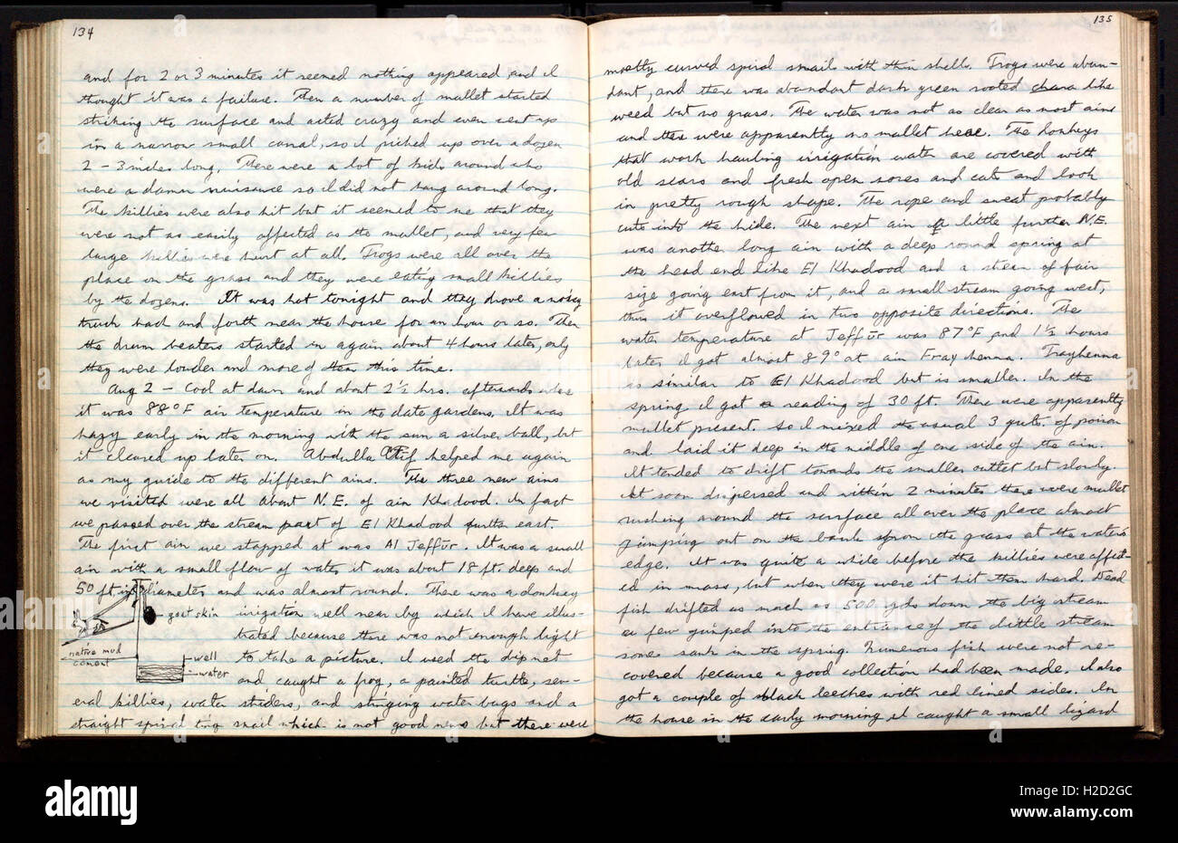 A section from a journal providing written entries on various topics ...