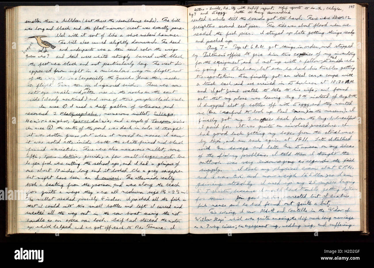 Journal (Pages 142 and 143 Stock Photo - Alamy