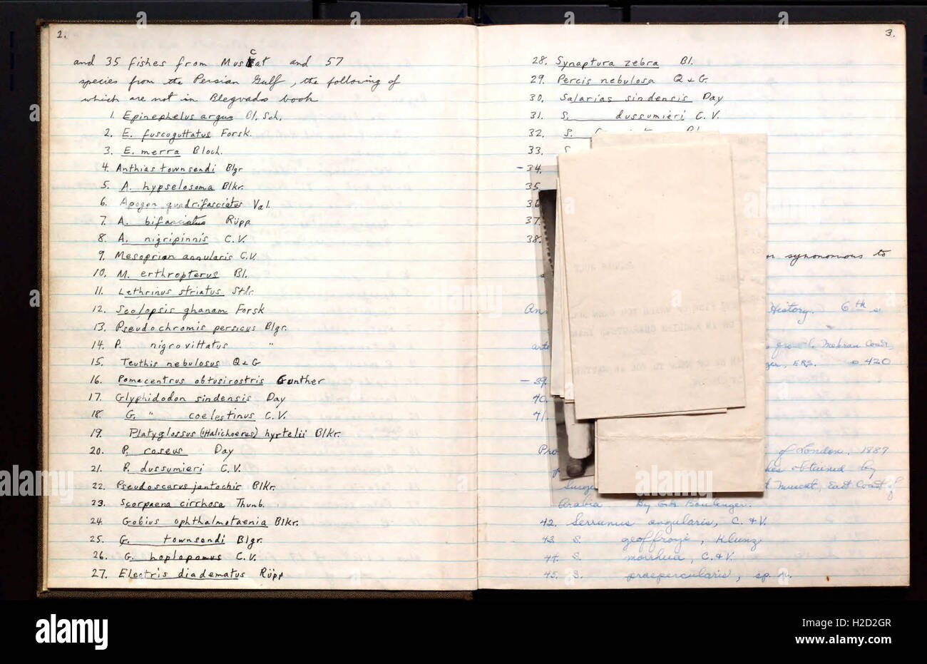 Journal (Pages 2 and 3 Stock Photo - Alamy