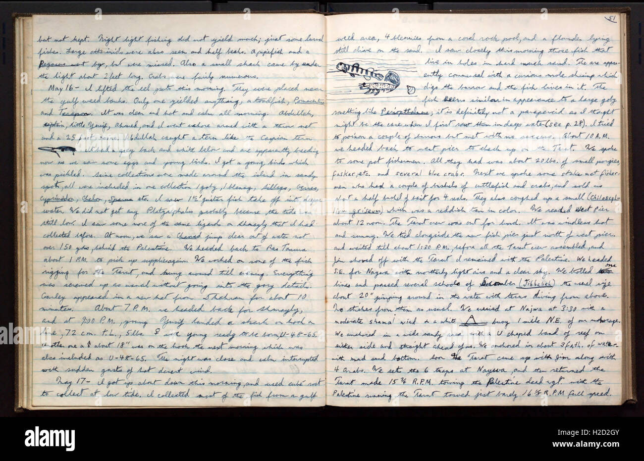 Pages 50 and 51 hi-res stock photography and images - Alamy