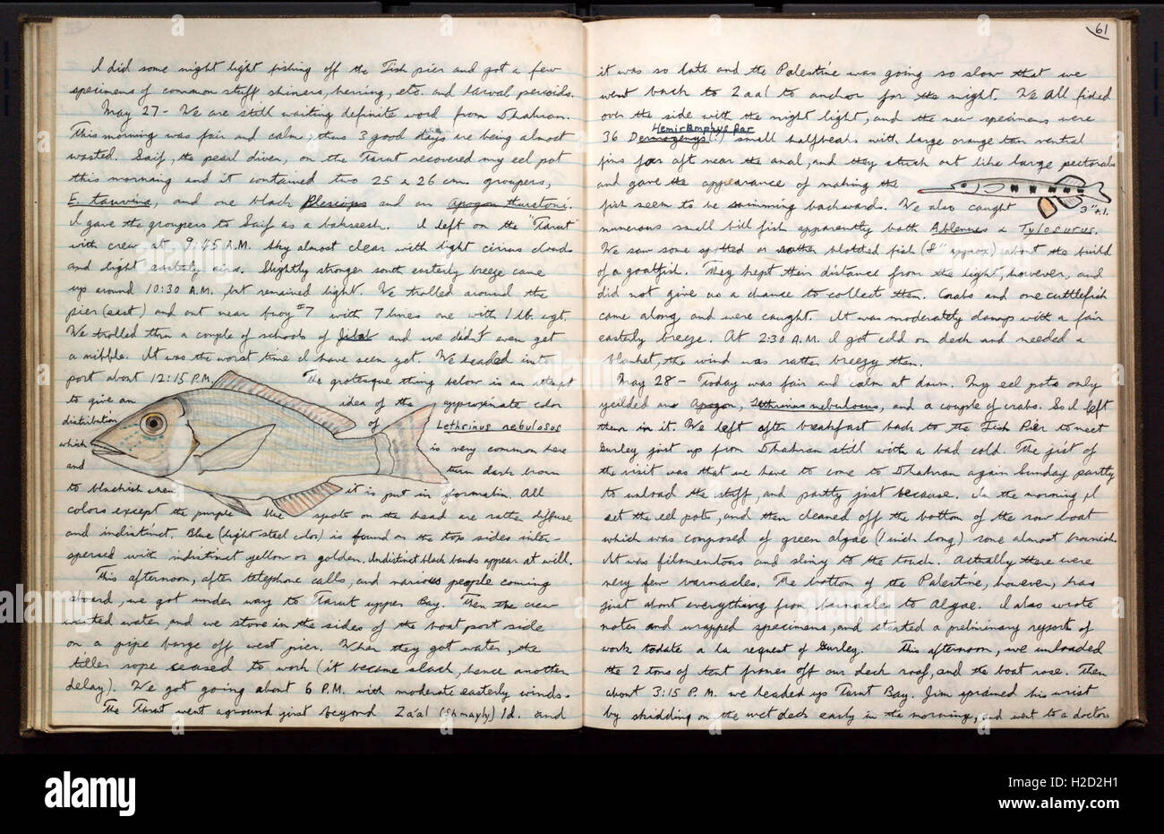 This journal entry provides insights into various topics, possibly ...