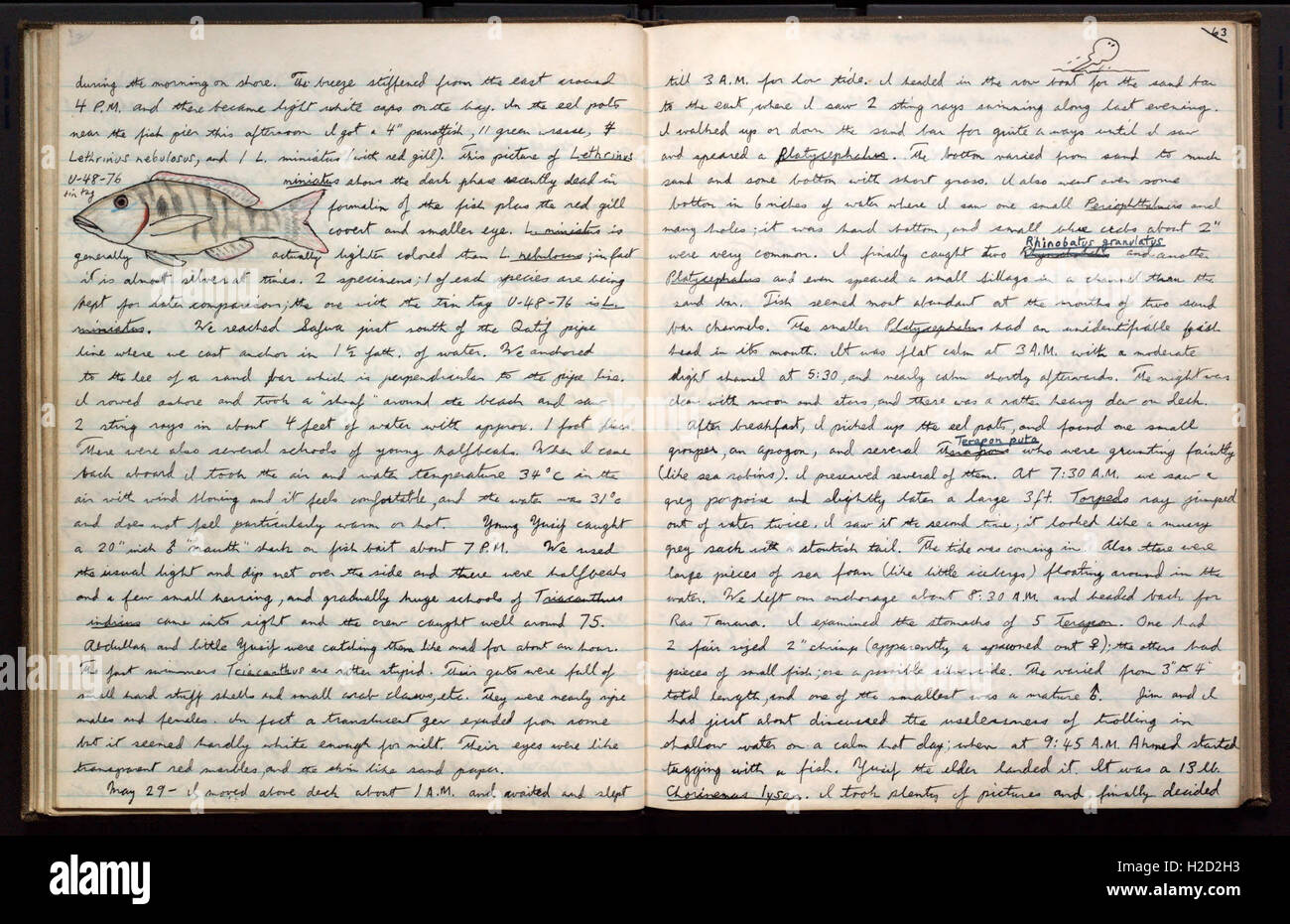 Pages 62 hi-res stock photography and images - Alamy